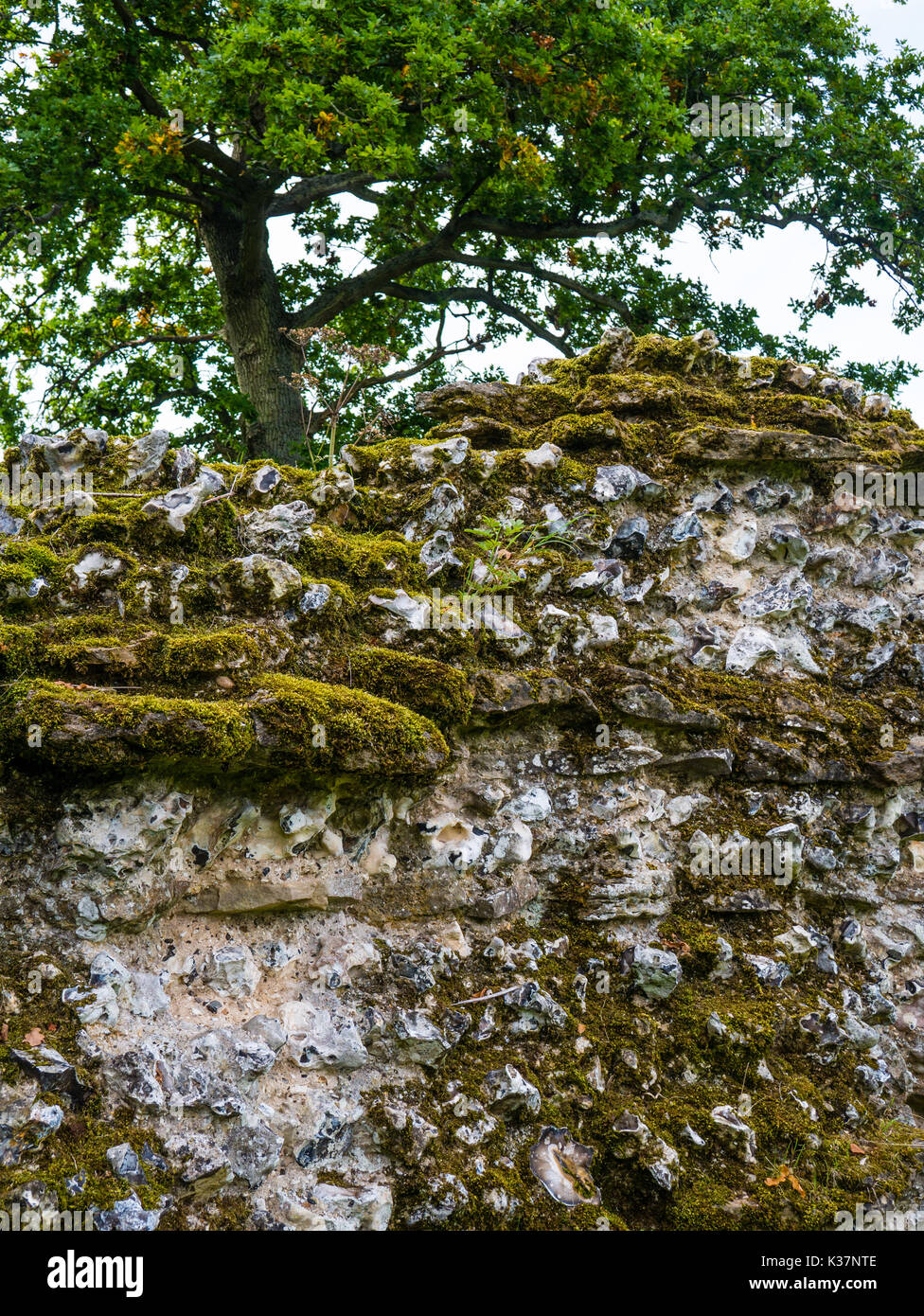 Silchester Roman Ruins High Resolution Stock Photography and Images - Alamy