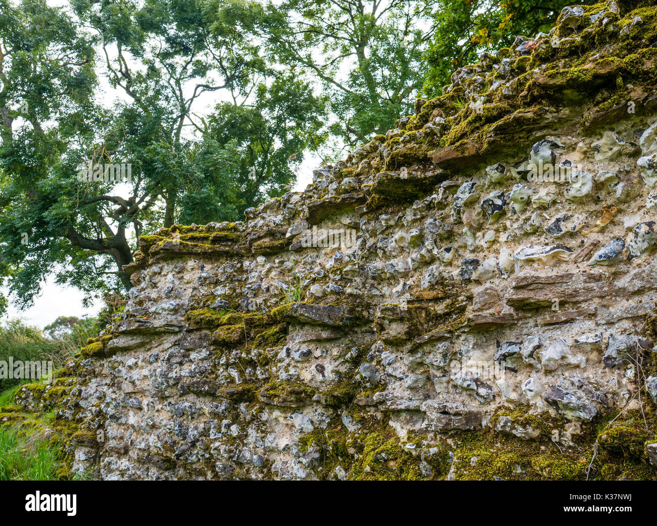 Silchester Roman City Walls and Amphitheatre, Hampshire, England, UK ...