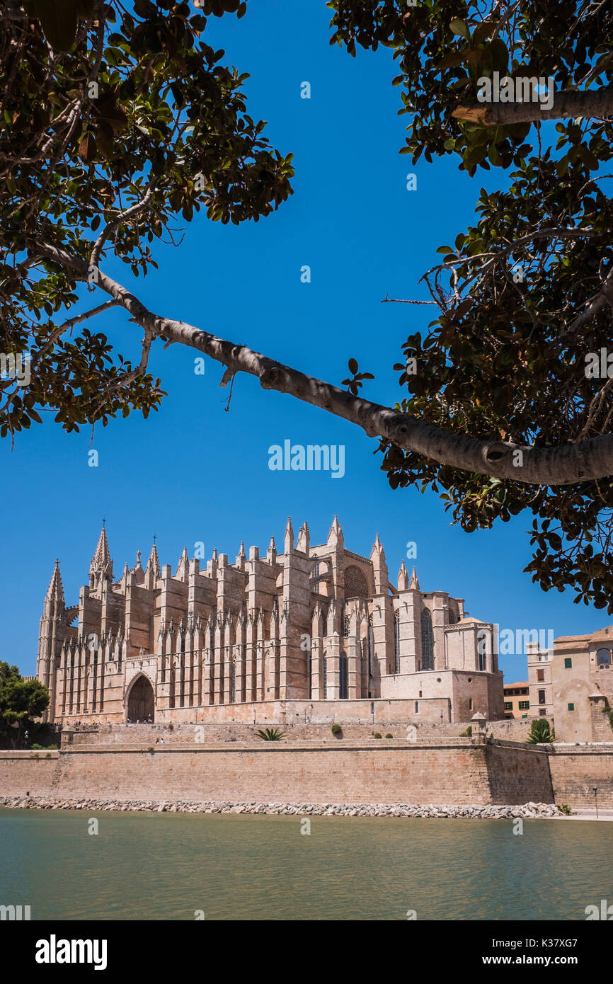 Palma, often called Palma de Mallorca, is the capital and largest city ...