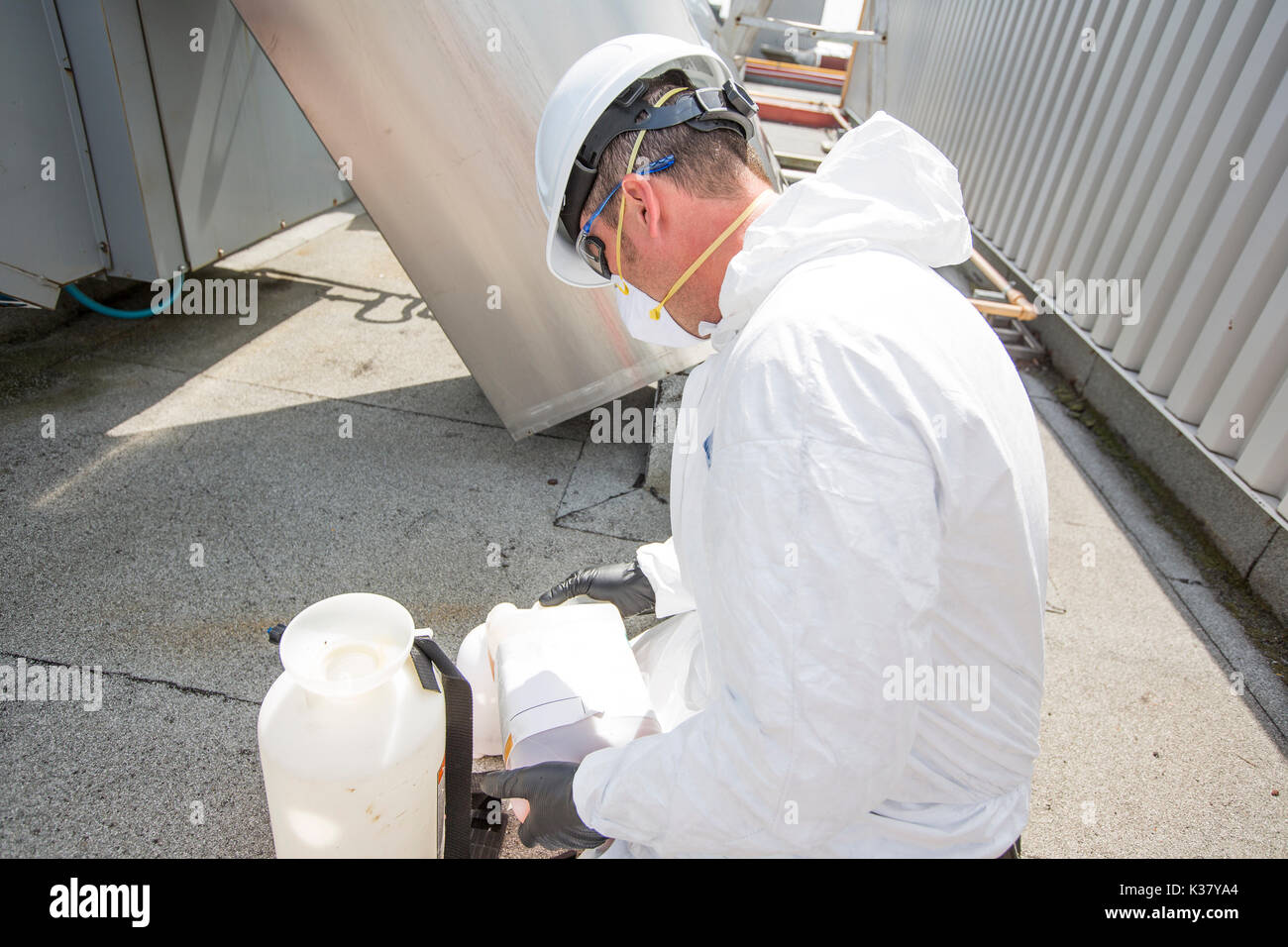 professional in protective uniform, mask, gloves in the roof for ...