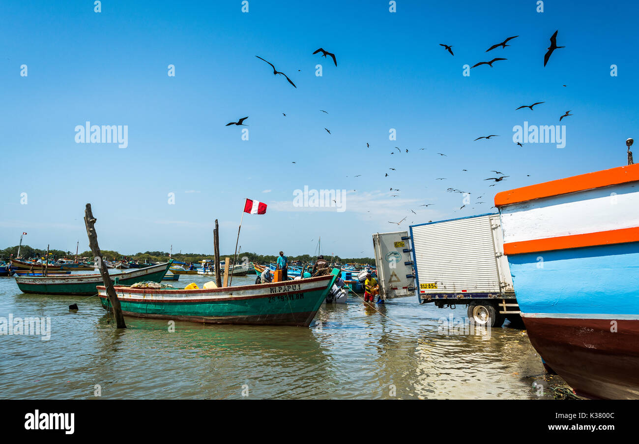 Manglares de Tumbes Stock Photo - Alamy