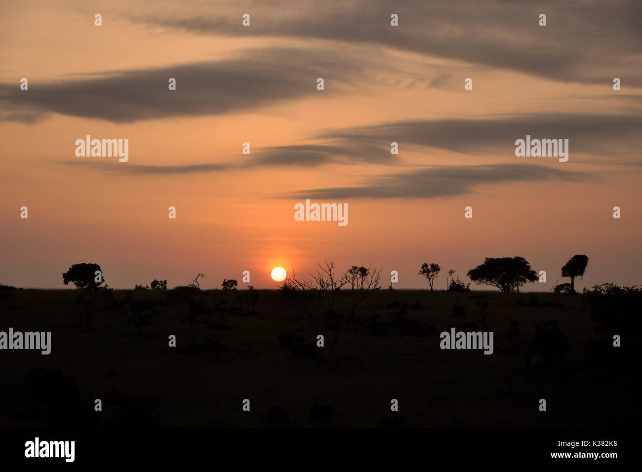 Uganda history hi-res stock photography and images - Alamy