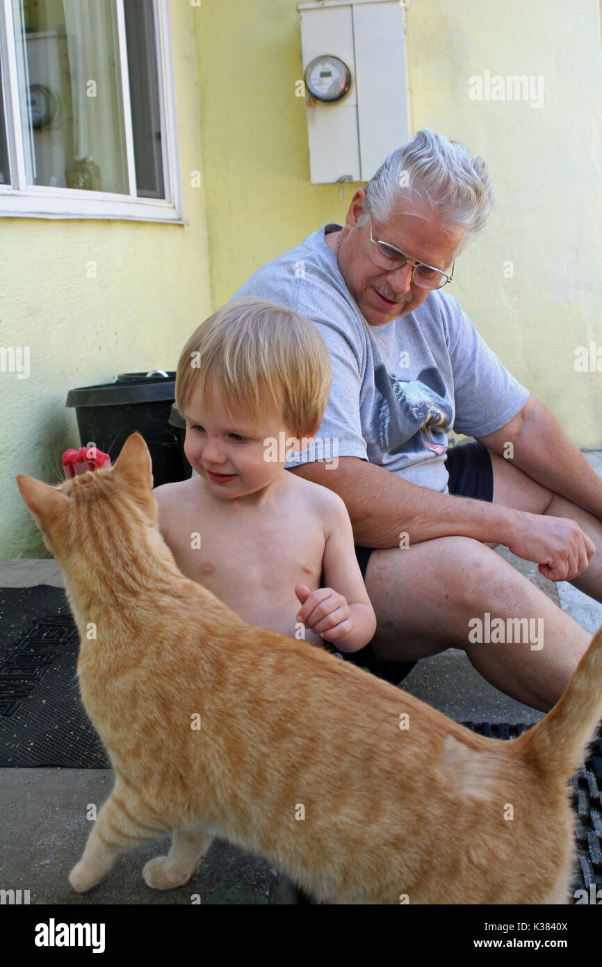 Man feeding cat hi-res stock photography and images - Alamy