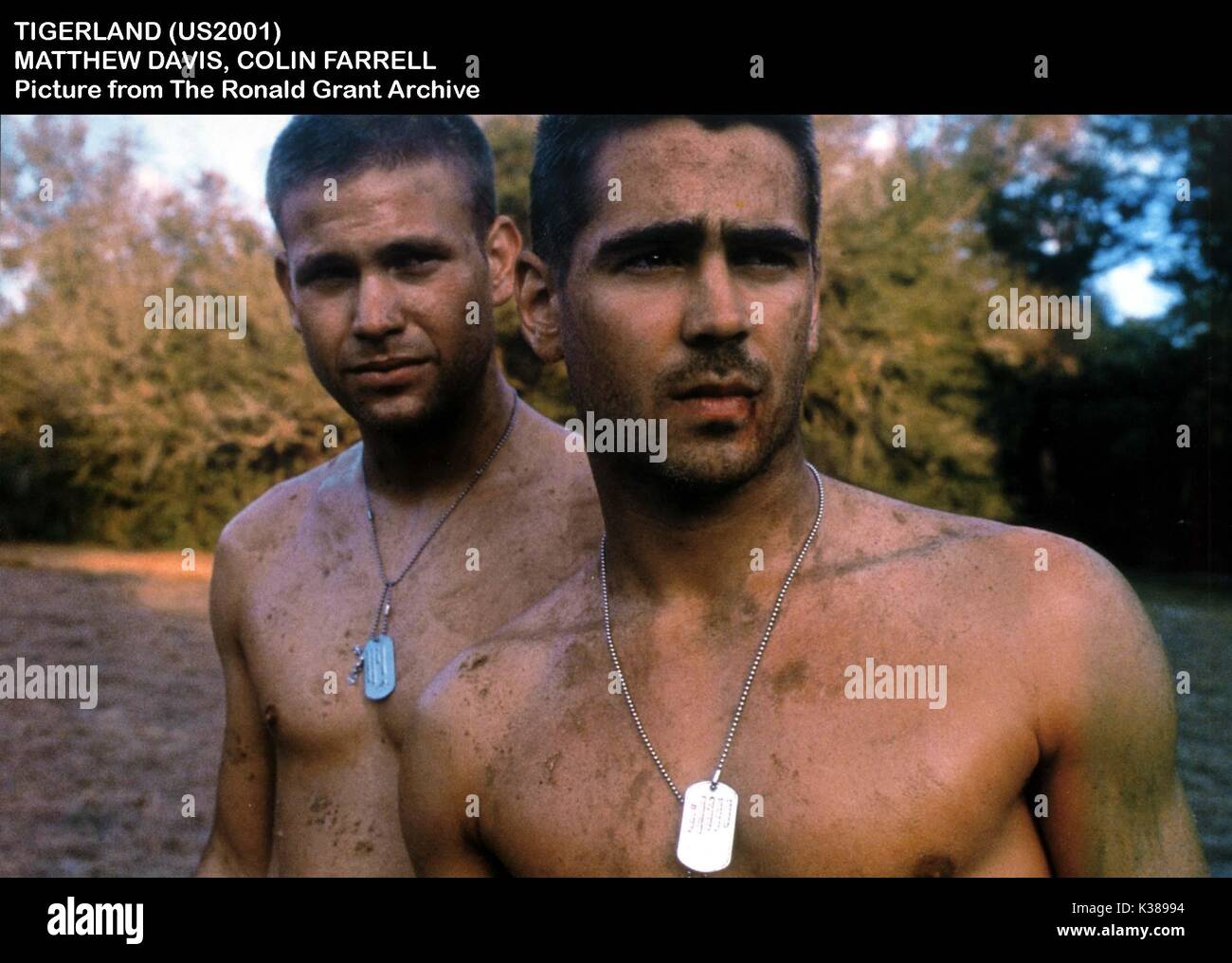 Matthew Davis Tigerland