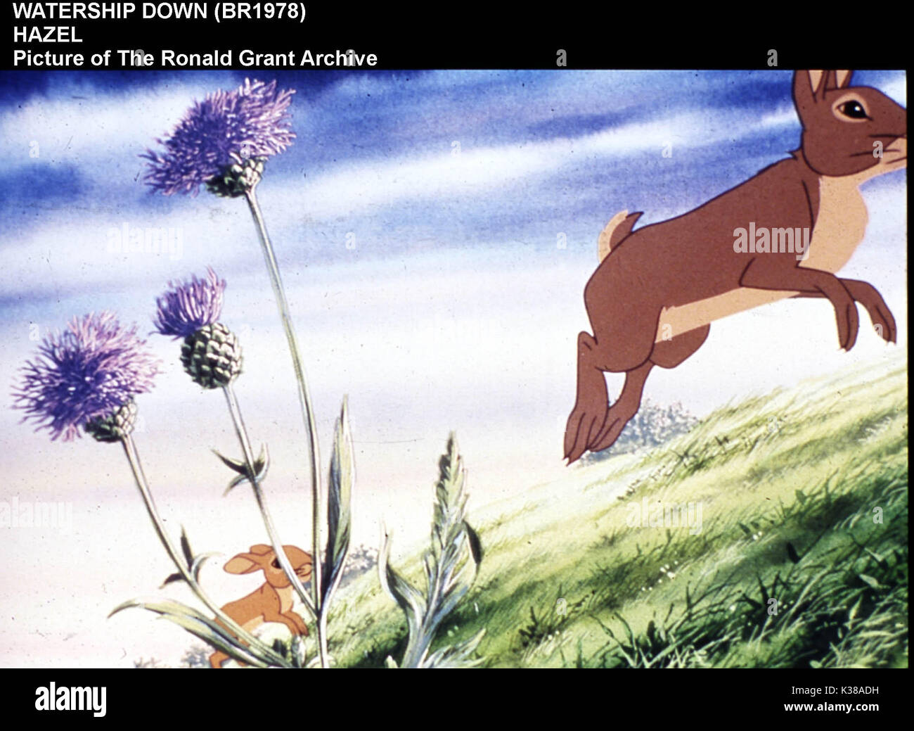 Watership down hi-res stock photography and images - Alamy
