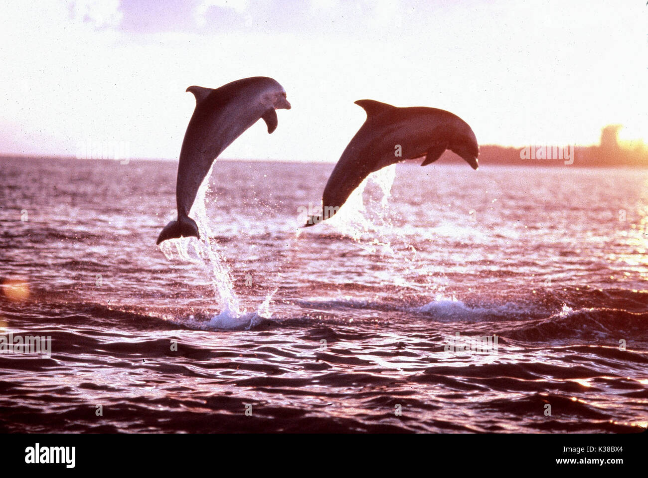 Zeus and roxanne hi-res stock photography and images - Alamy