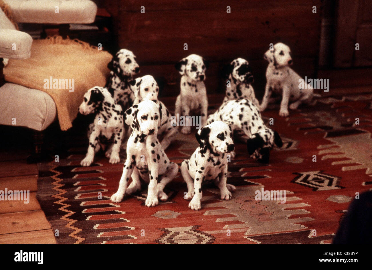 101 dalmatians disney hi-res stock photography and images - Alamy