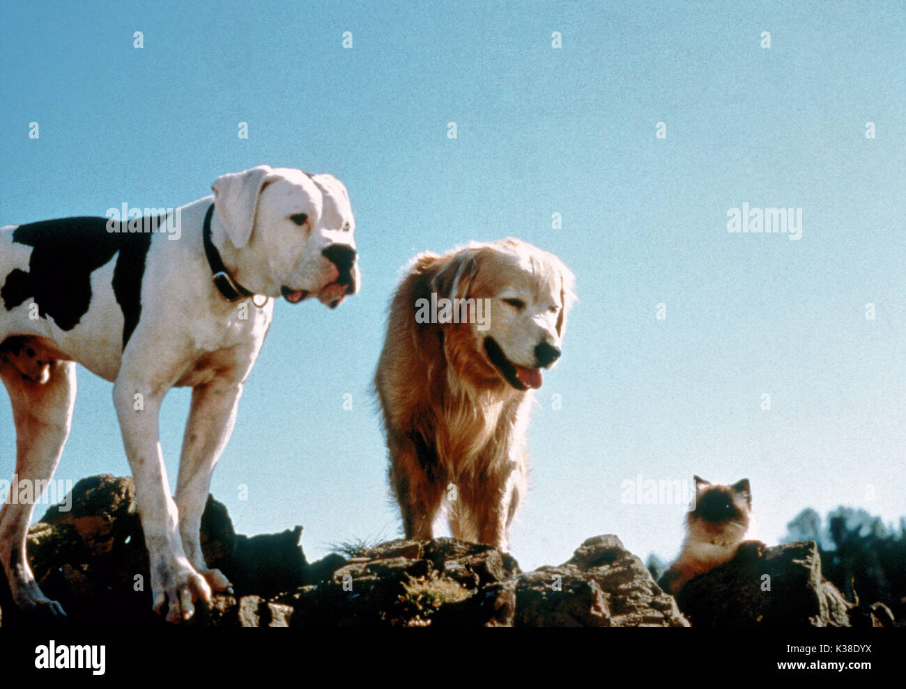 Homeward bound hi-res stock photography and images - Alamy