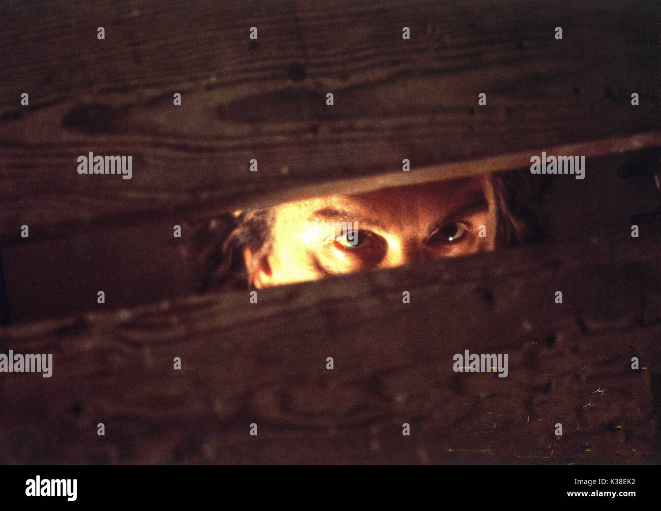 MARY REILLY JOHN MALKOVICH as Mr. Hyde DIRECTOR: STEPHEN FREARS Stock ...