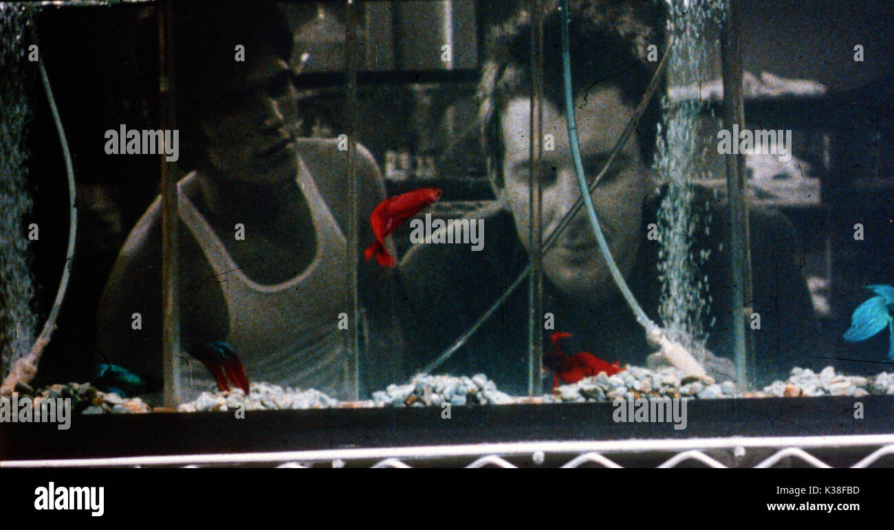 RUMBLE FISH MATT DILLON AND MICKEY ROURKE Date: 1980 Stock Photo - Alamy