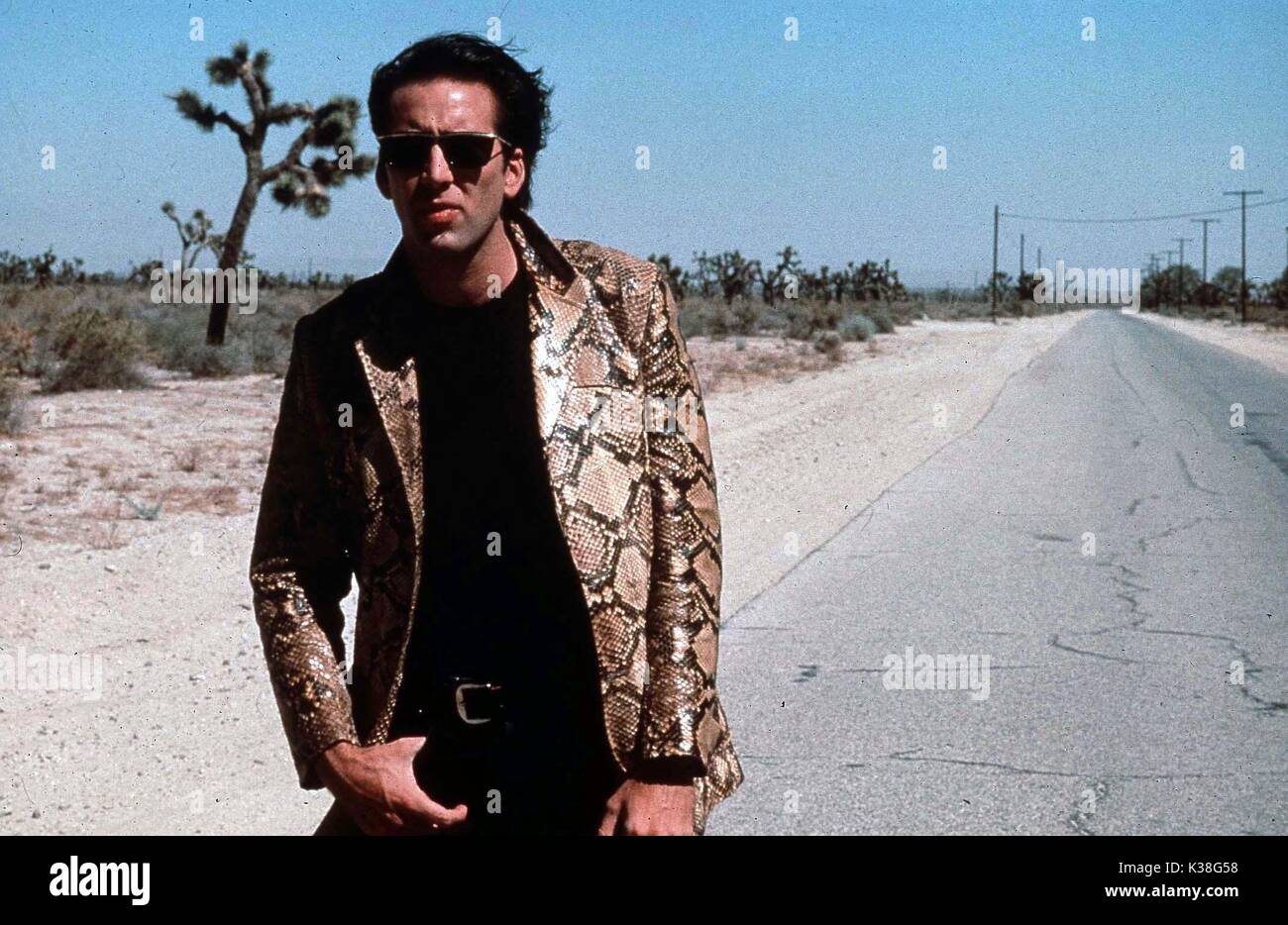 WILD AT HEART NICHOLAS CAGE WILD AT HEART NICHOLAS CAGE Date: 1990 ...