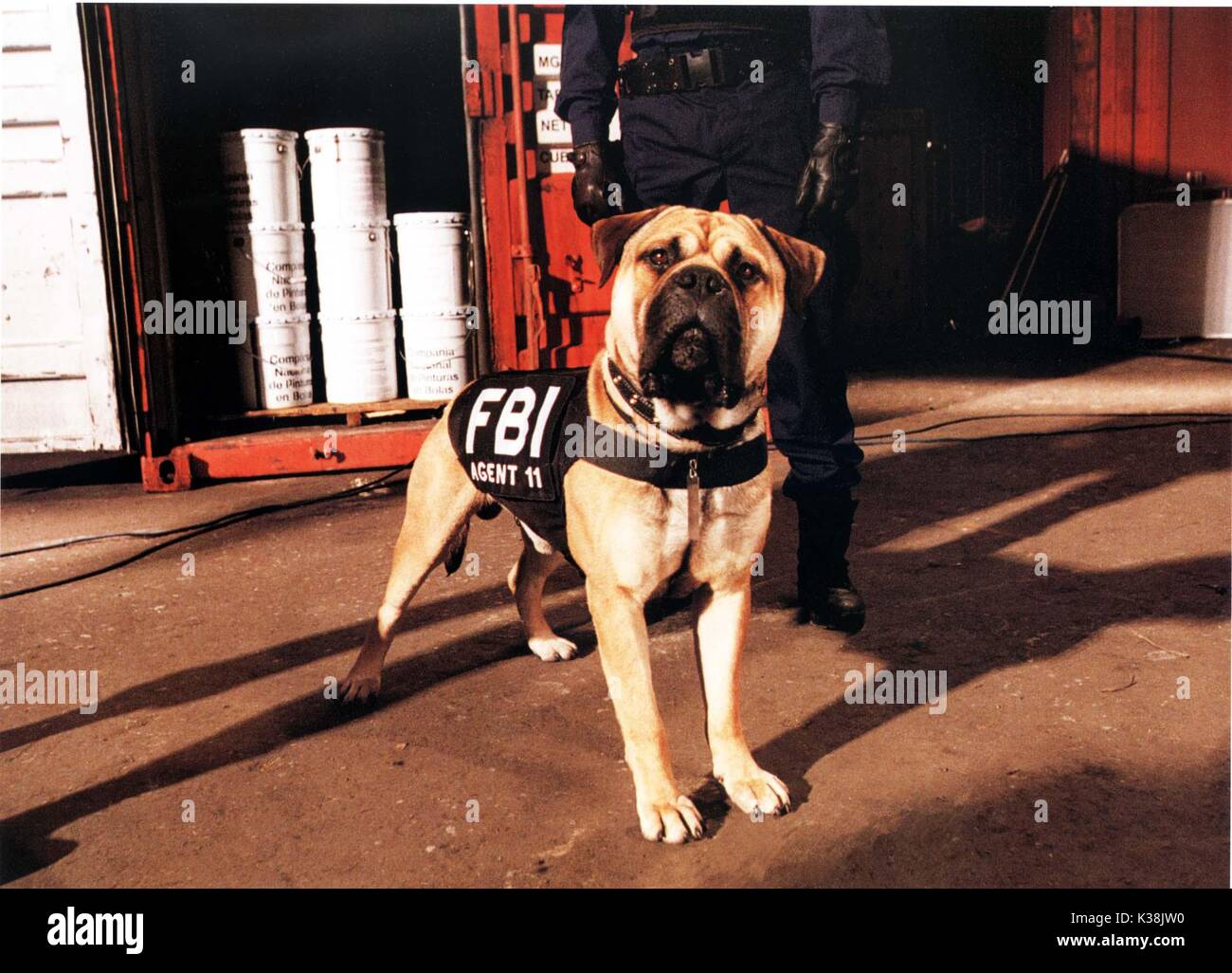 SEE SPOT RUN Date: 2001 Stock Photo - Alamy