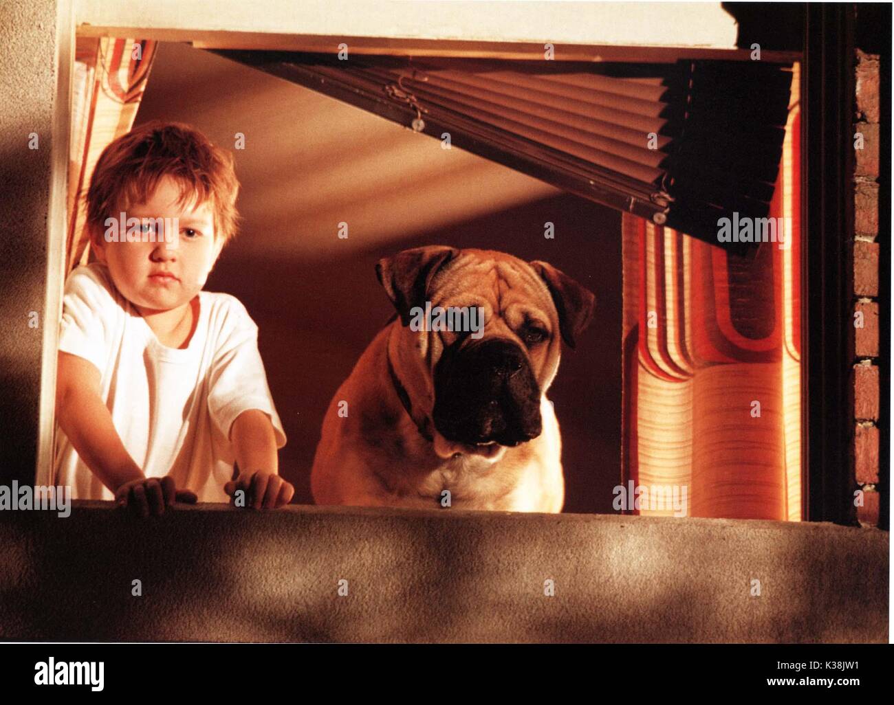 SEE SPOT RUN ANGUS T. JONES Date: 2001 Stock Photo - Alamy