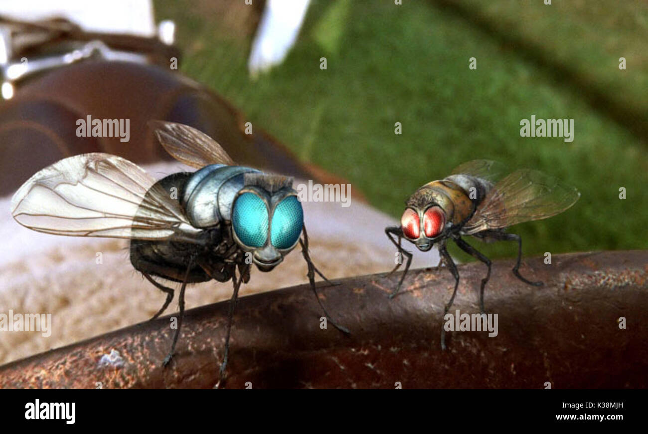 Flies BUZZ, voiced by Steve Harvey and SCUZZ, voiced by DAVID SPADE in ...