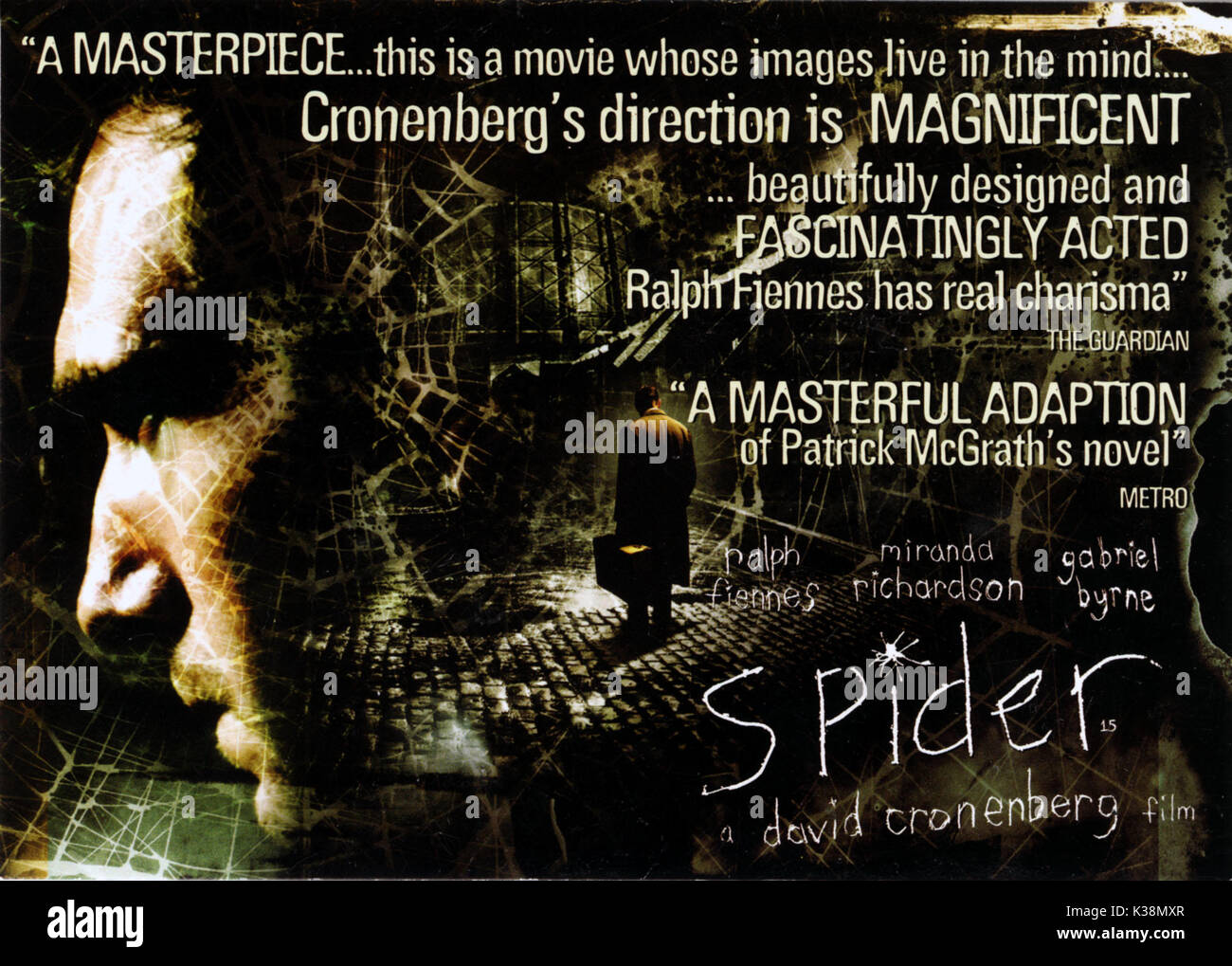 Spider not spiderma not car not art hi-res stock photography and images ...