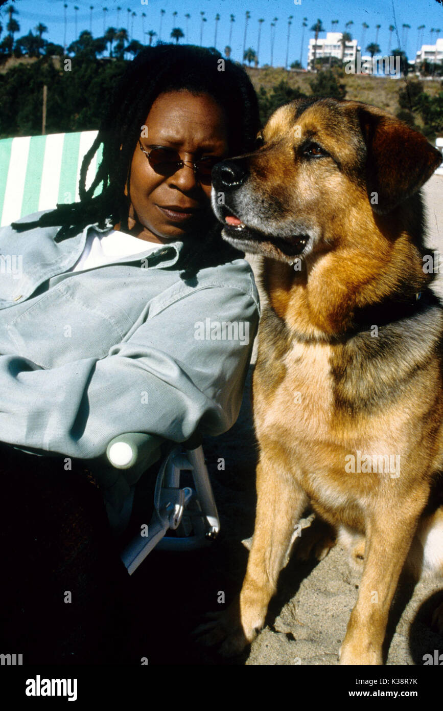 MORE DOGS THAN BONES WHOOPI GOLDBERG Date: 2000 Stock Photo - Alamy
