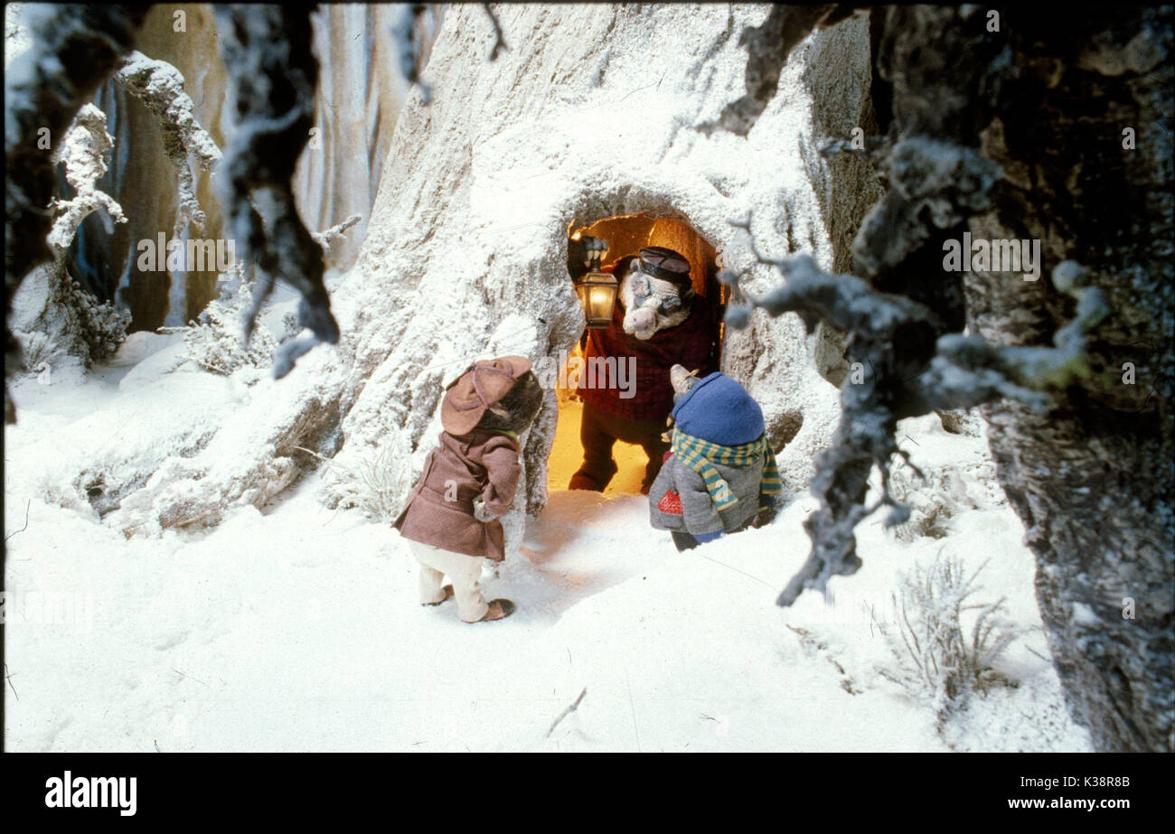 The Willows In Winter