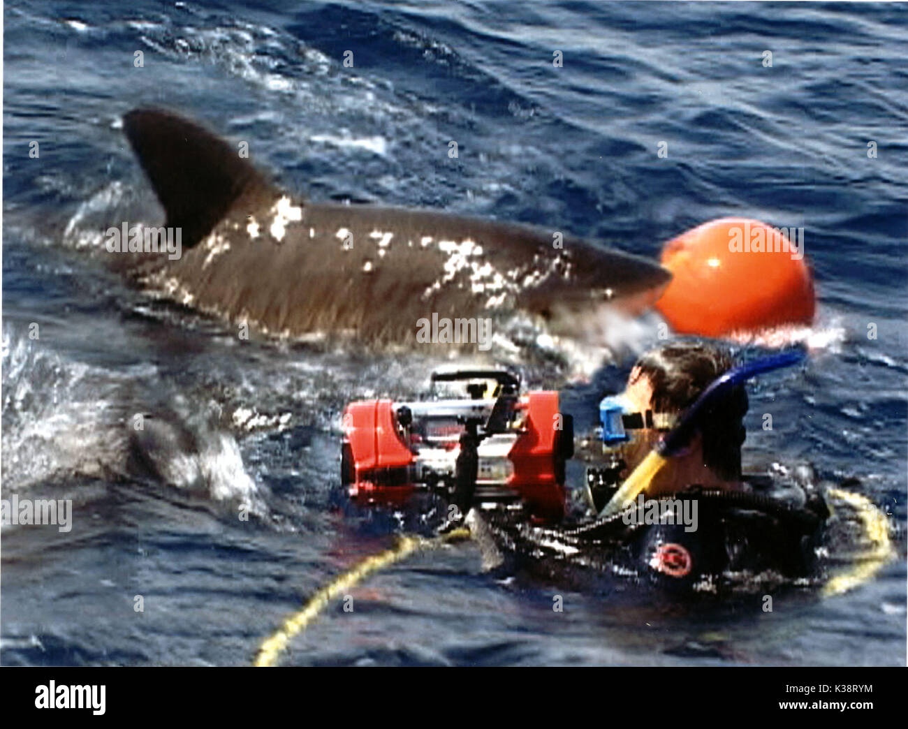 Open water movie 2003 hi-res stock photography and images - Alamy