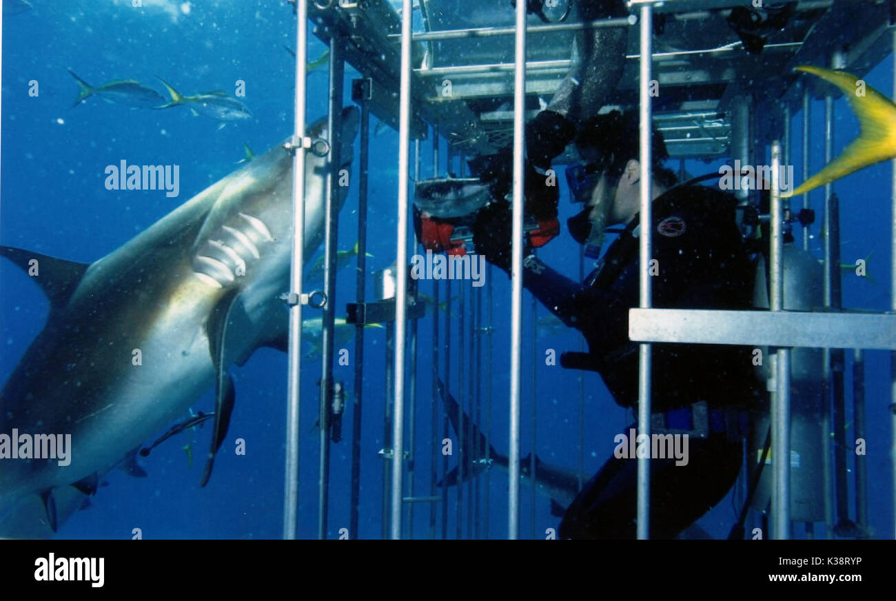 Open water movie 2003 hi-res stock photography and images - Alamy