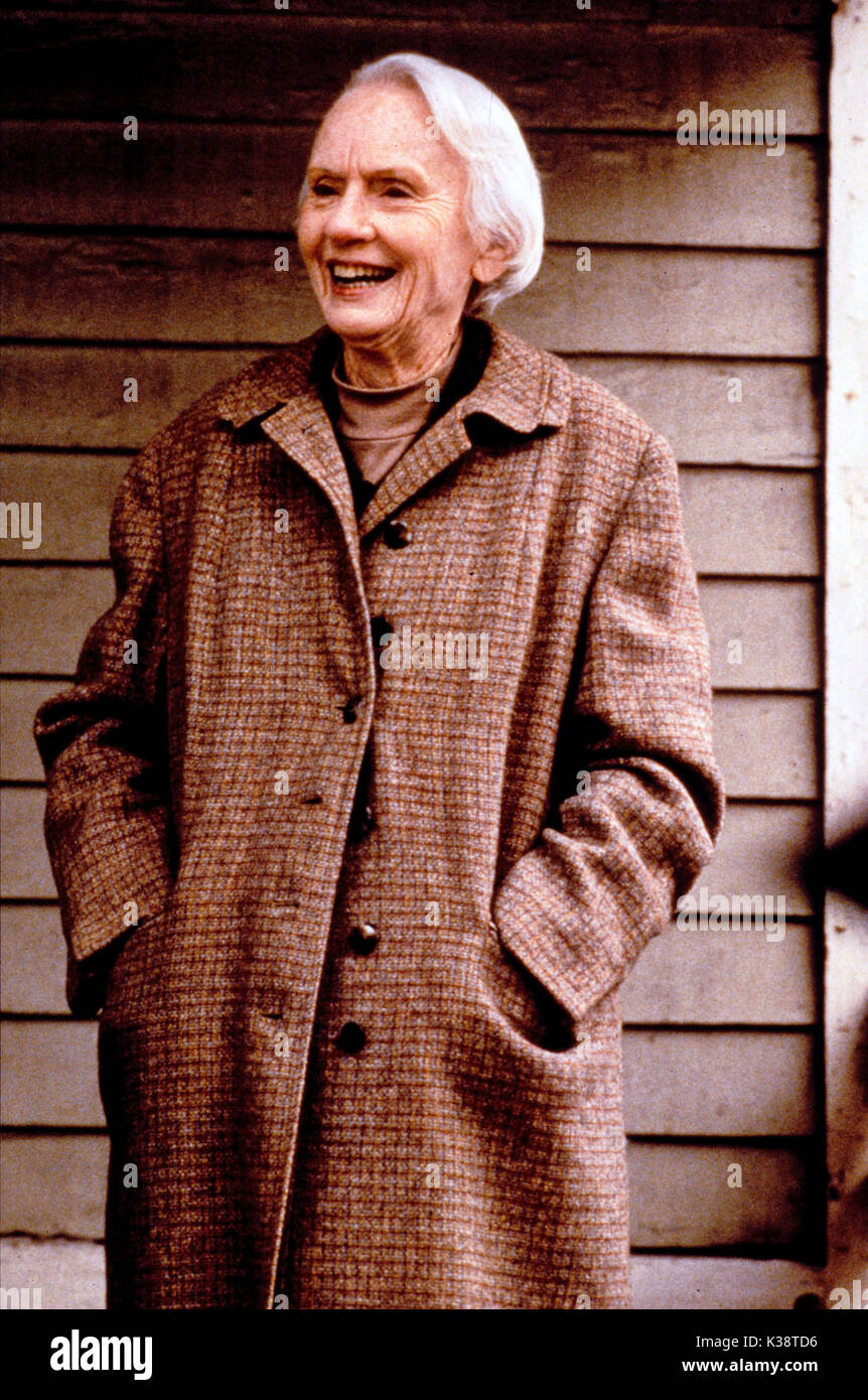 NOBODY'S FOOL [US 1994] JESSICA TANDY Date: 1994 Stock Photo - Alamy