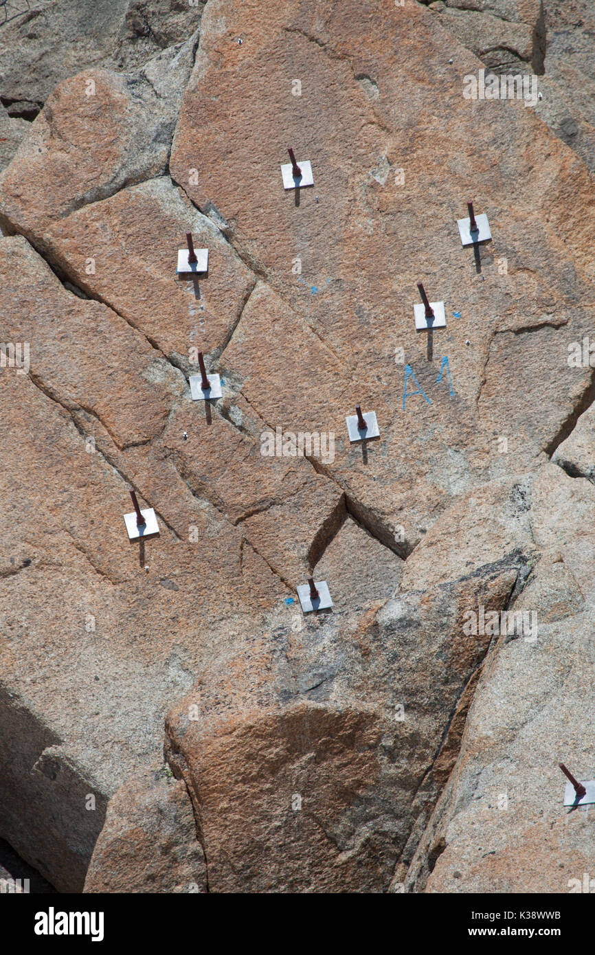 Protogine hi-res stock photography and images - Alamy