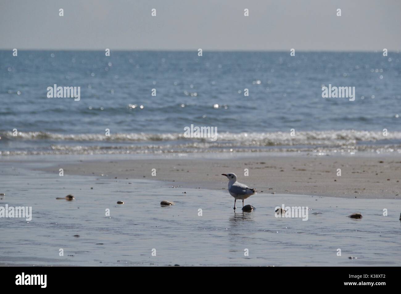 I do like to be beside the seaside hi-res stock photography and images ...