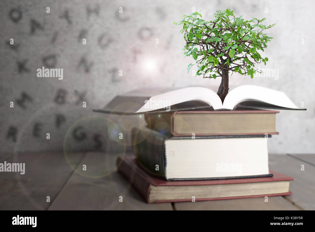 Tree growing from an open book with alphabet letters shadows on the ...