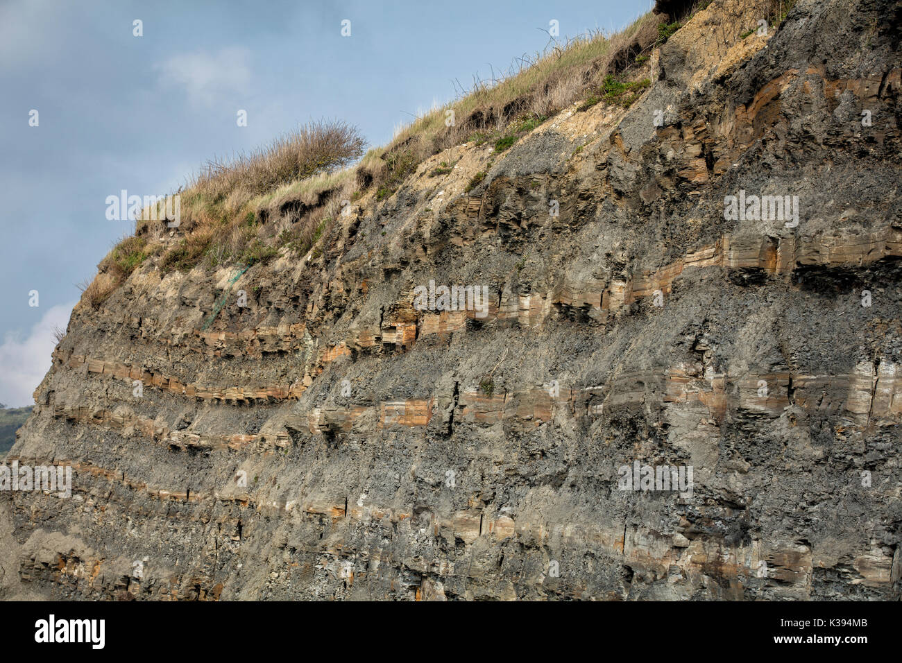 Jurassic coast fossils hi-res stock photography and images - Alamy