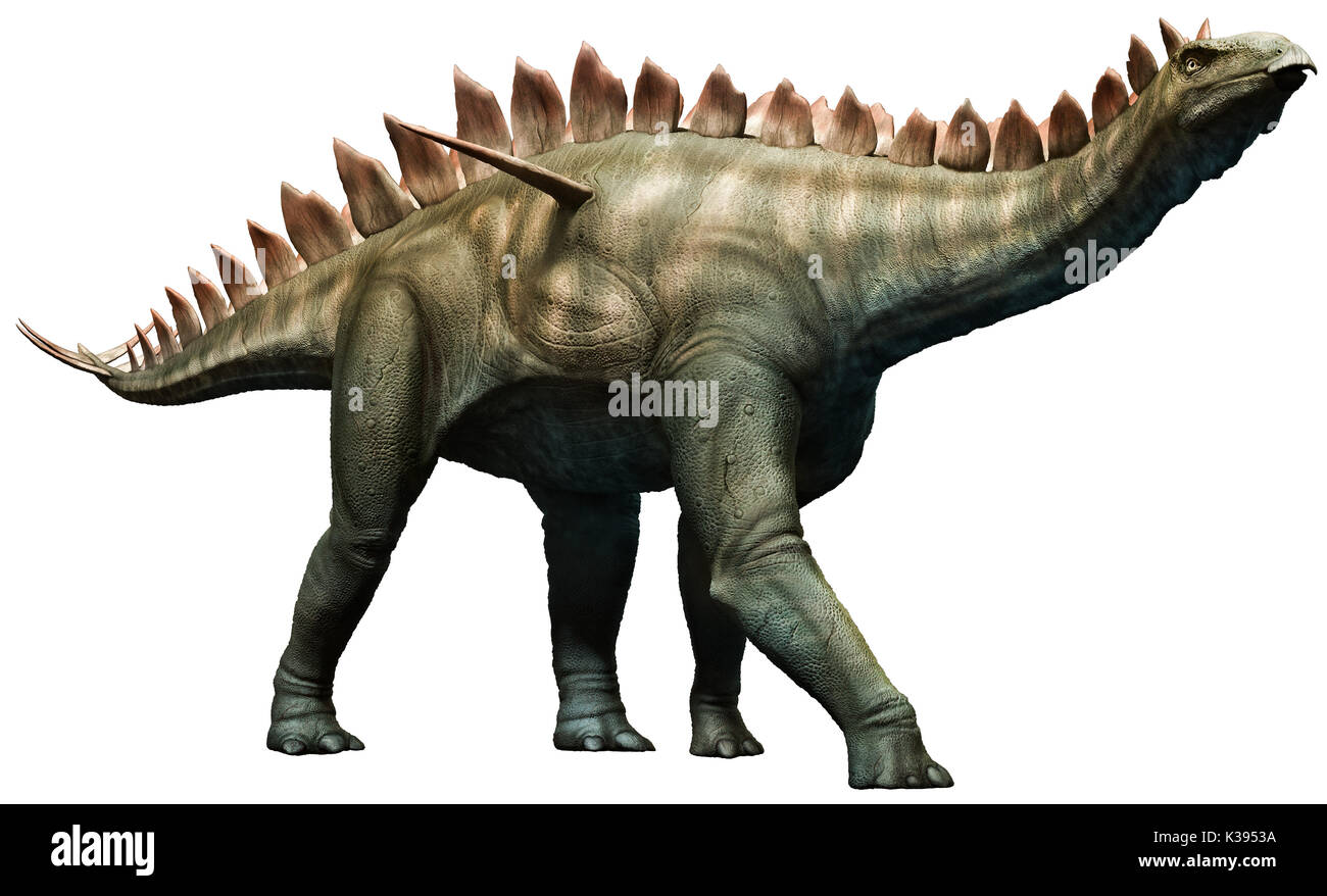 Miragaia hi-res stock photography and images - Alamy