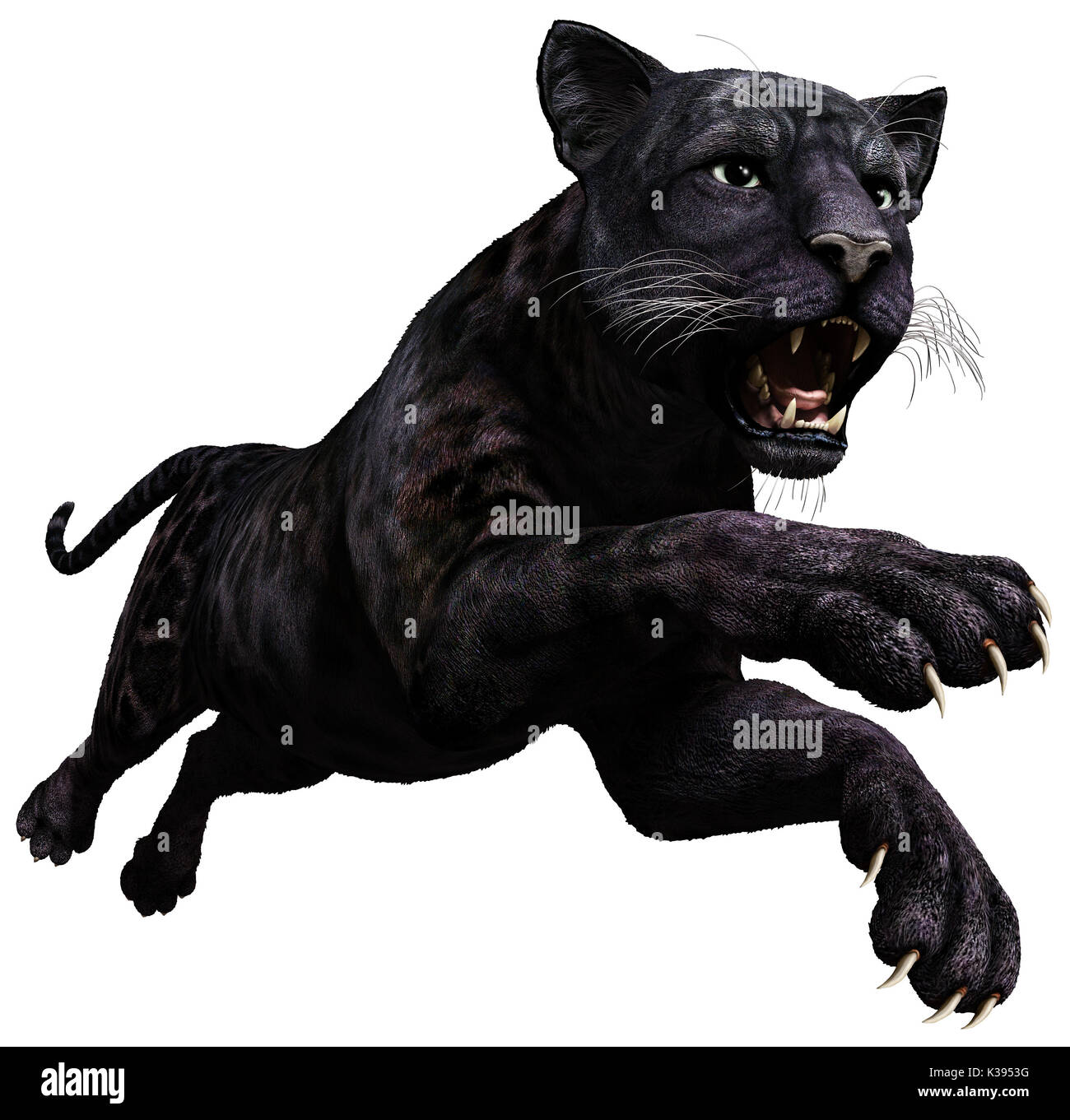 Black Panther Cut Out Stock Images & Pictures - Alamy