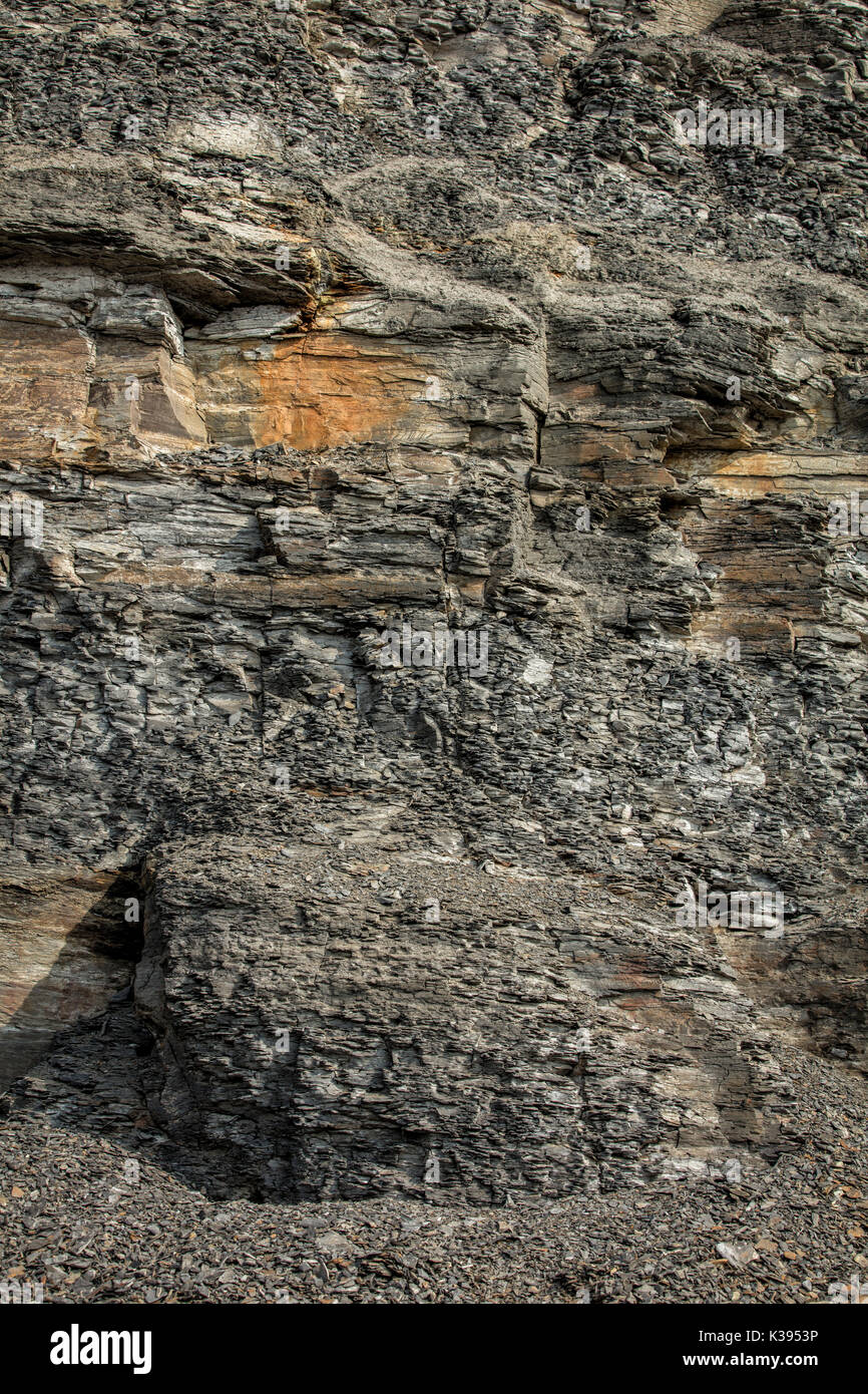 Jurassic fossils hi-res stock photography and images - Alamy