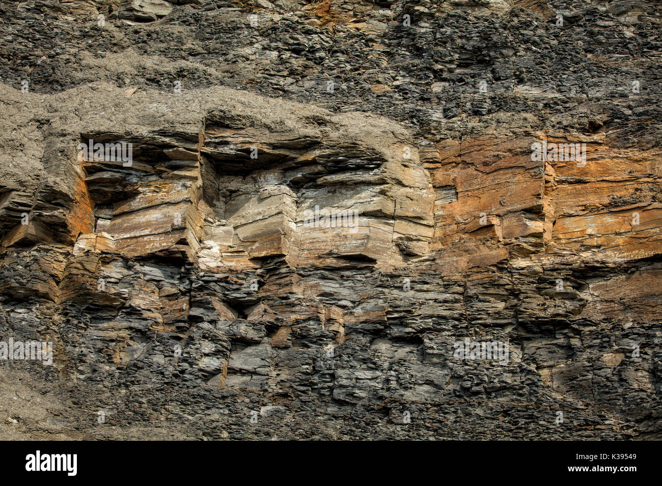 English fossils hi-res stock photography and images - Alamy