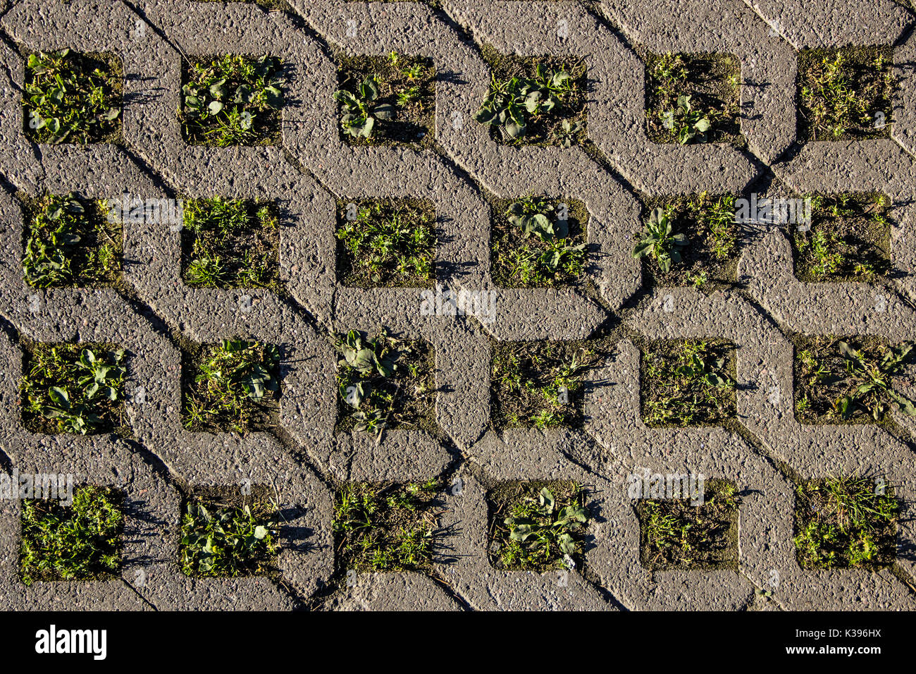Ecological parking for cars and green grass background Stock Photo - Alamy