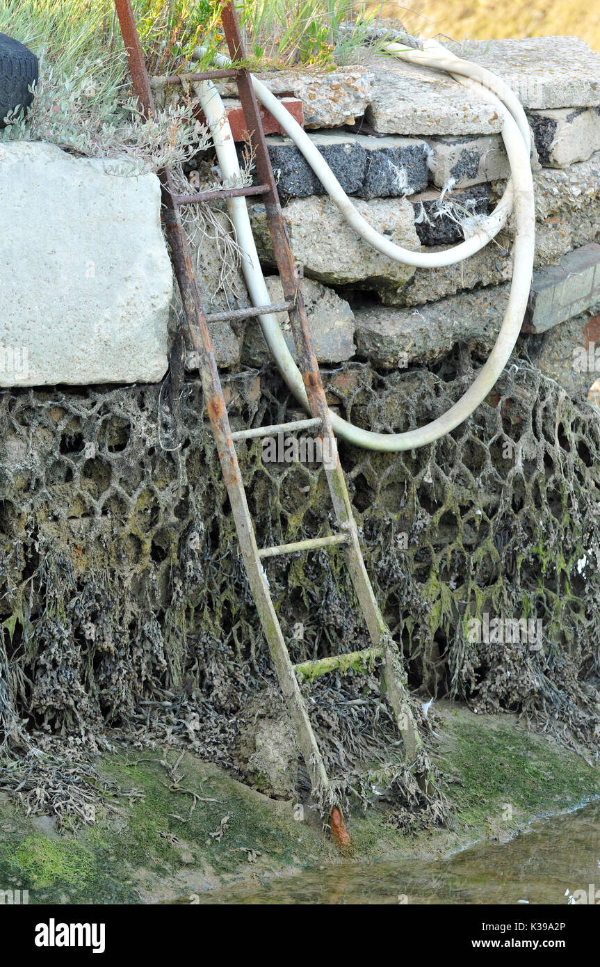 A ladder against an old harbour wall with stonework and netting ...