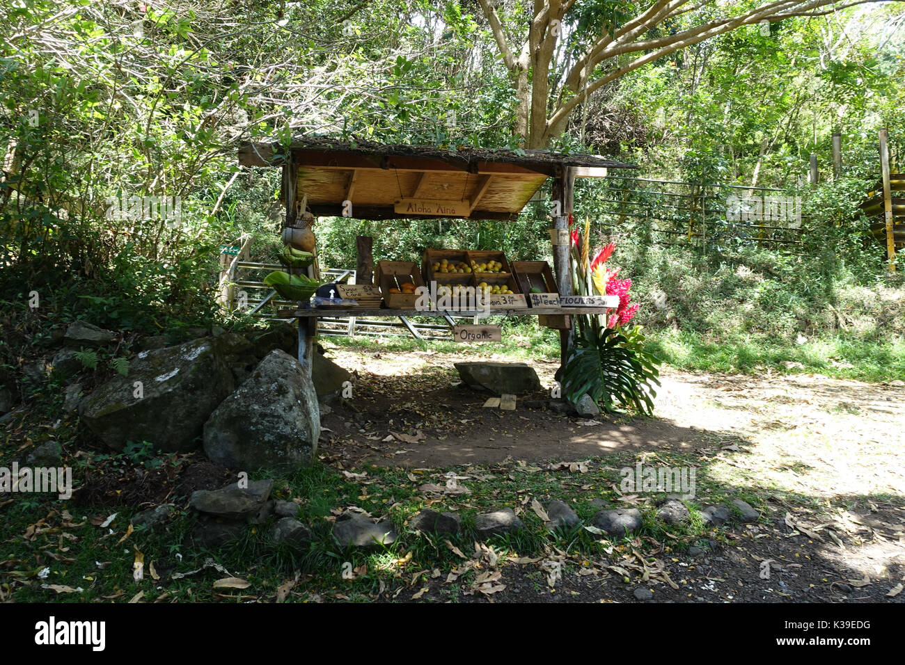 The Road to Hana stretches 68 miles between Kahalui and the town of ...