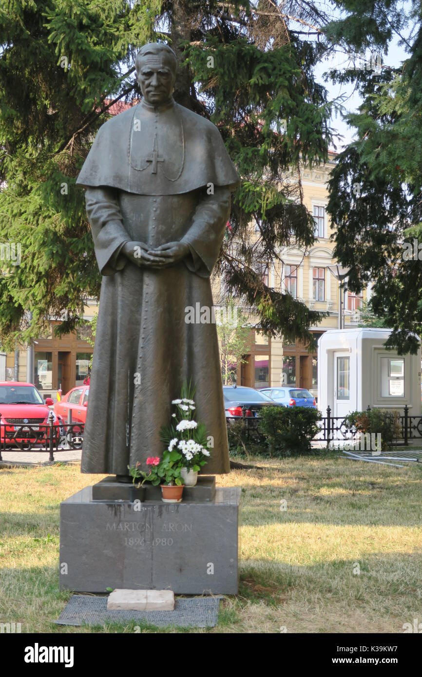 Statue in Cluj Napoca, Romania Stock Photo - Alamy
