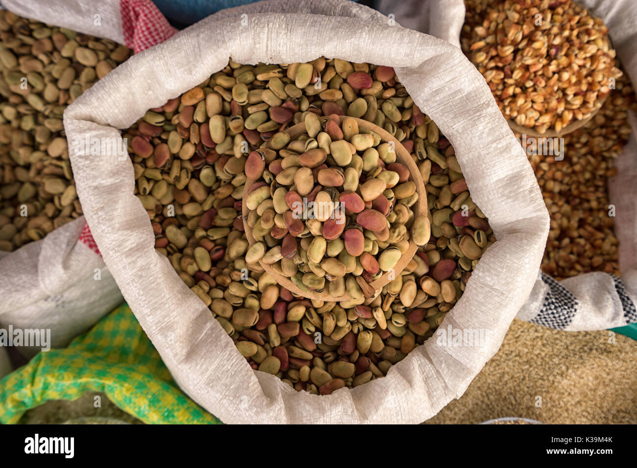fava beans closeup in Ecuador Stock Photo - Alamy