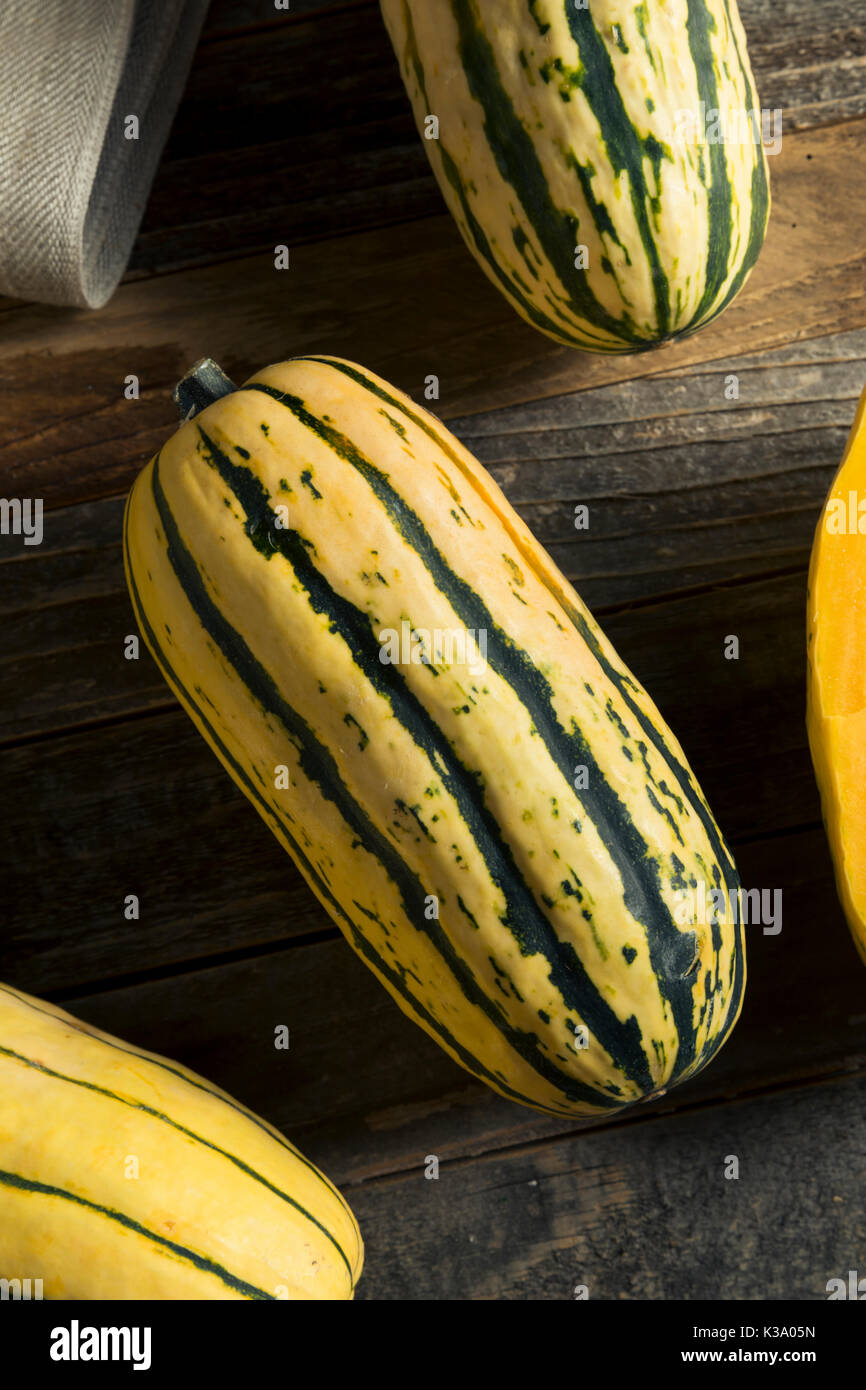 Raw Organic Delicata Squash Ready to Cook With Stock Photo - Alamy