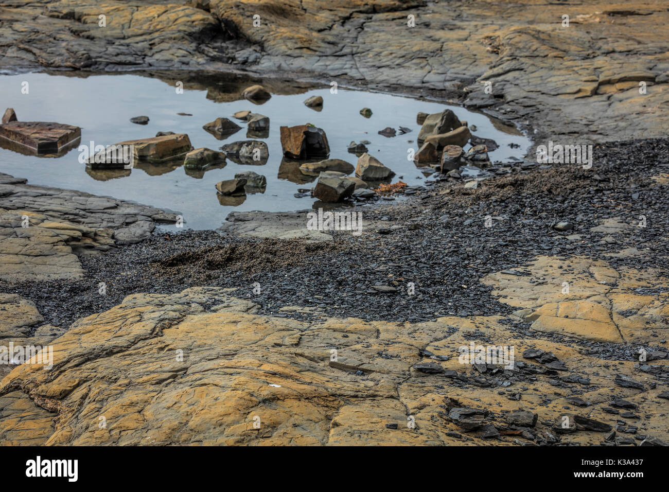 Pool of water on jurassic coast in Dorset Stock Photo - Alamy