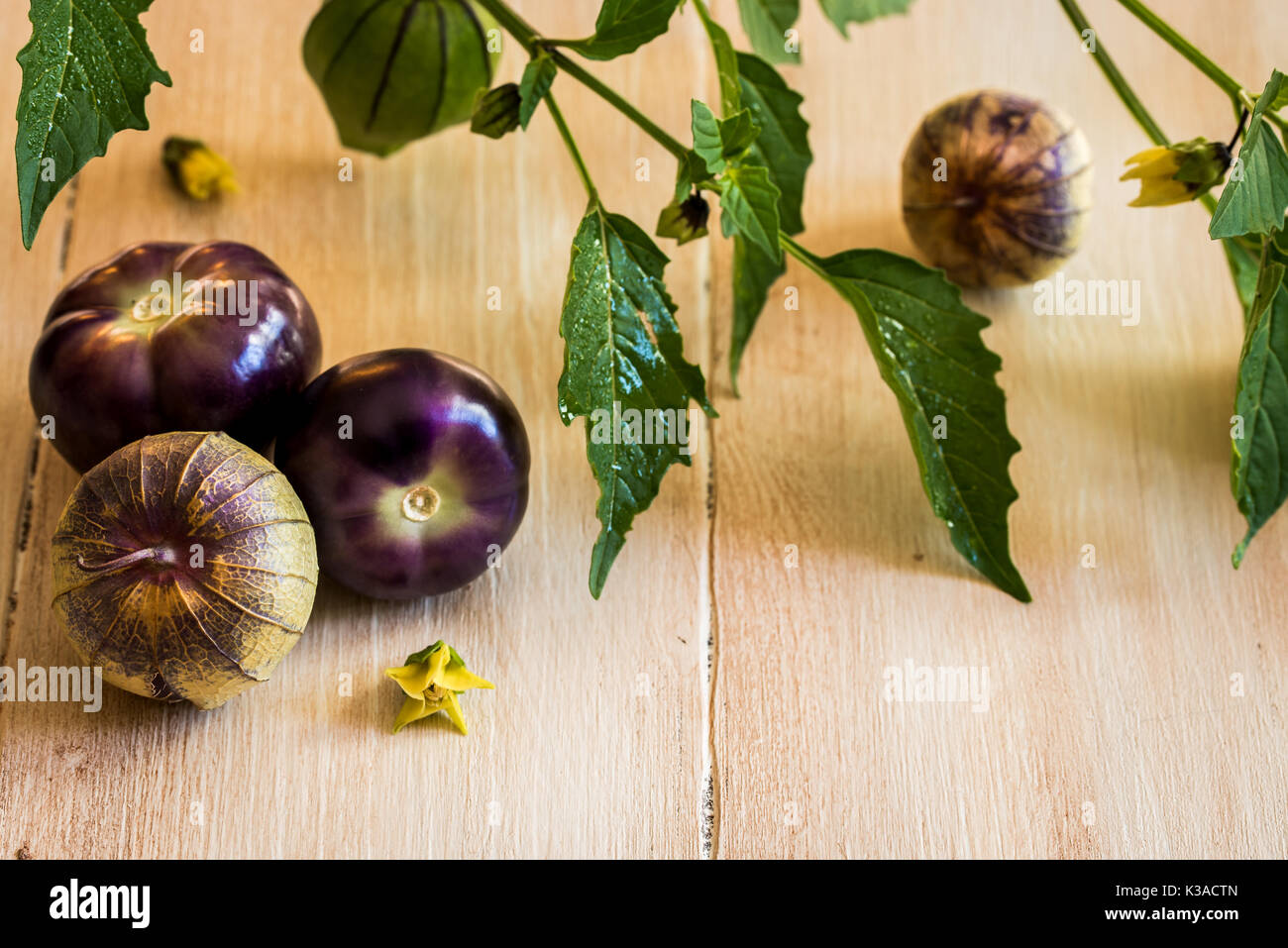 Purple tomatillos hi-res stock photography and images - Alamy