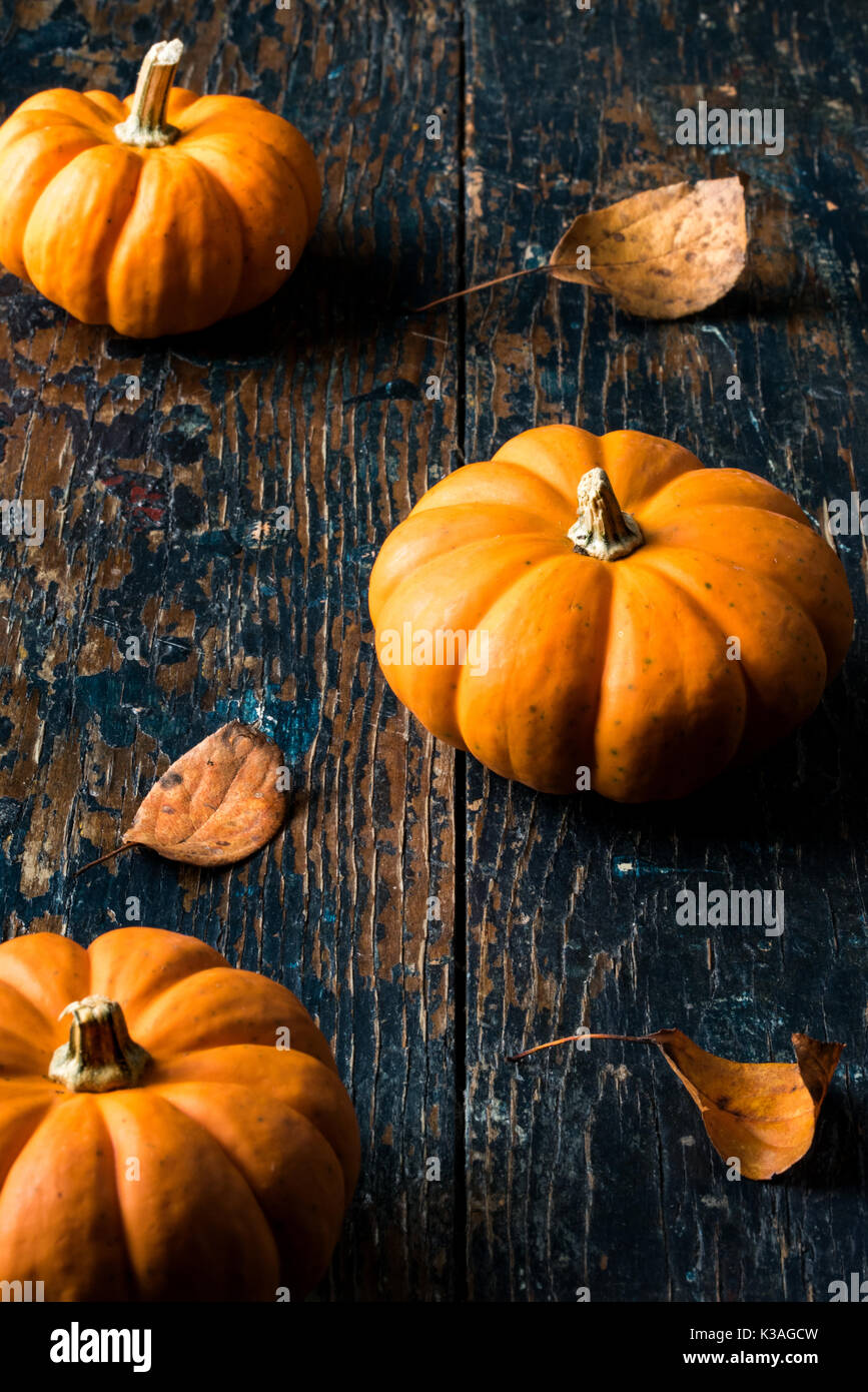 Miniature orange hi-res stock photography and images - Alamy
