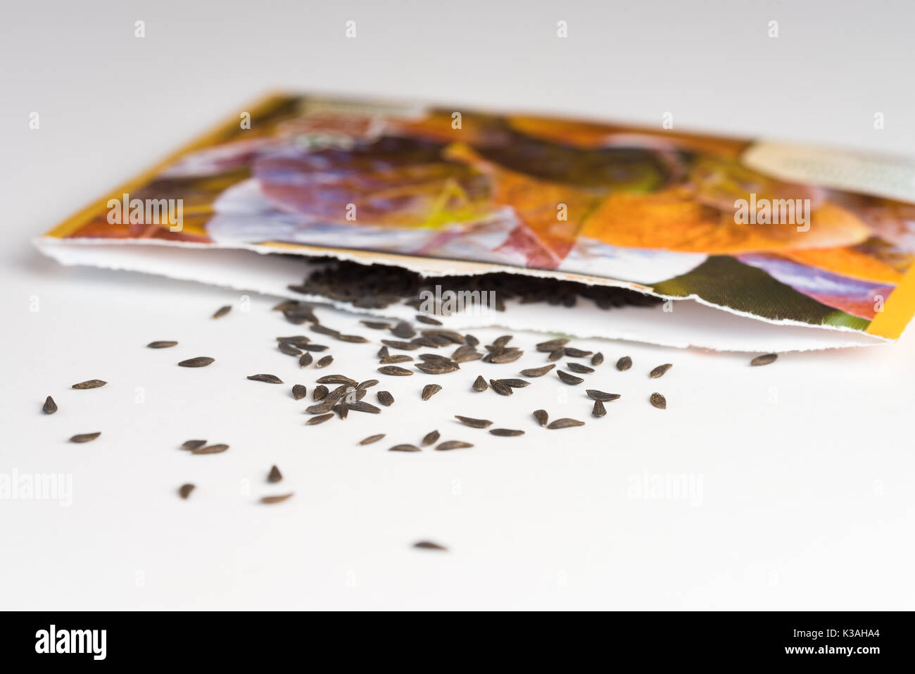 Lettuce seeds hi-res stock photography and images - Alamy
