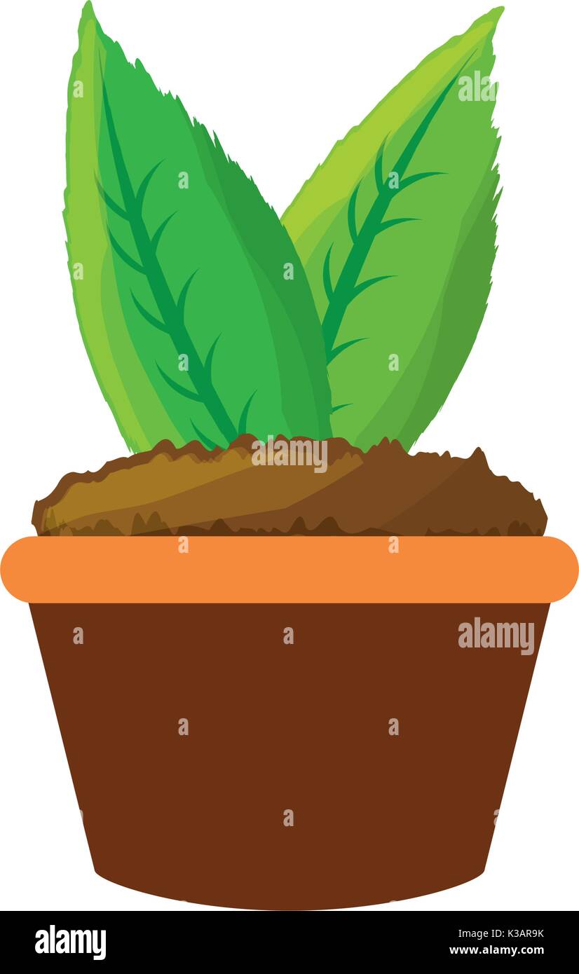 plant vector illustration Stock Vector Image & Art - Alamy