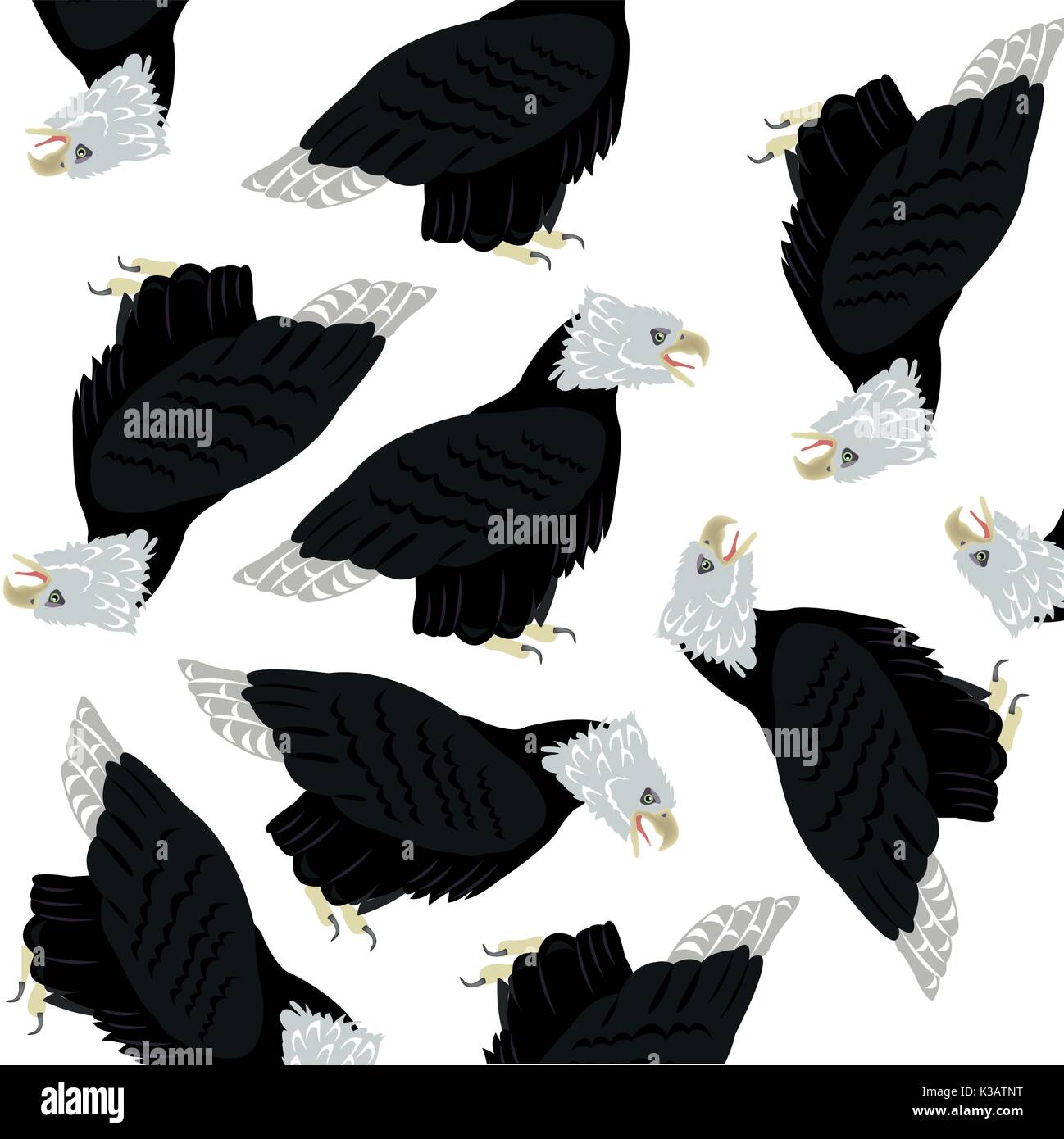 Bird eagle on white background Stock Vector Image & Art - Alamy