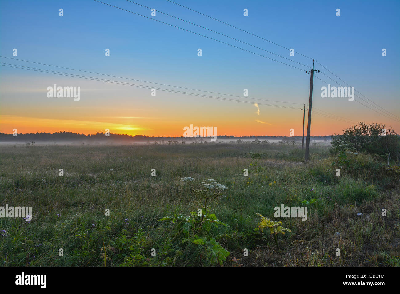 Summer dawn in the countryside Stock Photo - Alamy