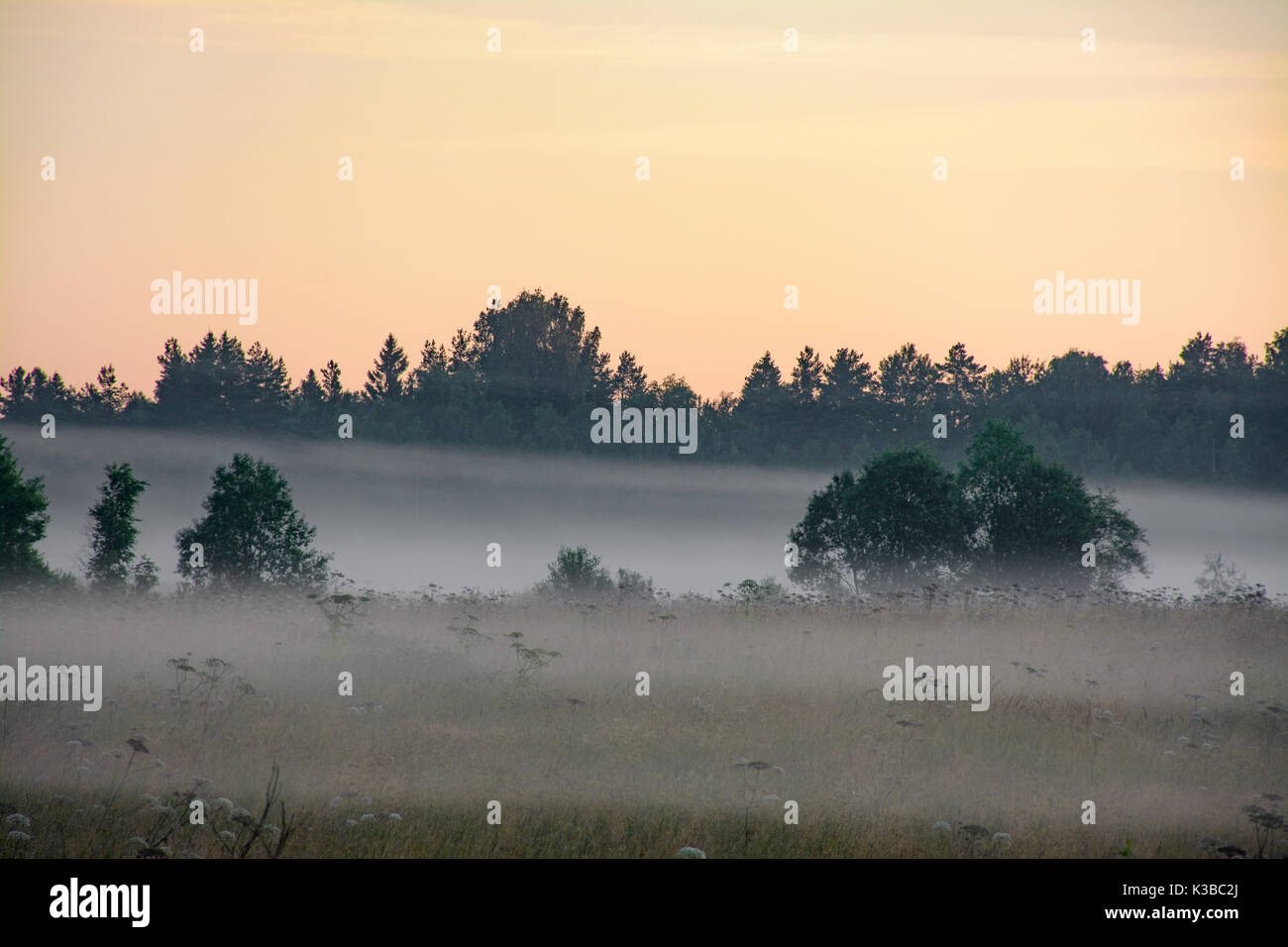 Summer dawn in the countryside Stock Photo - Alamy