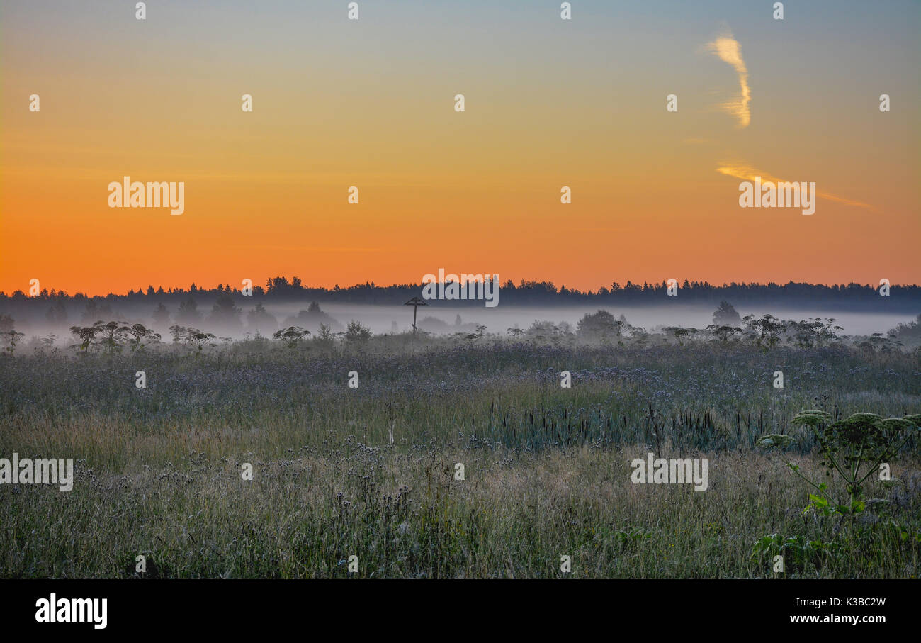 Summer dawn in the countryside Stock Photo - Alamy