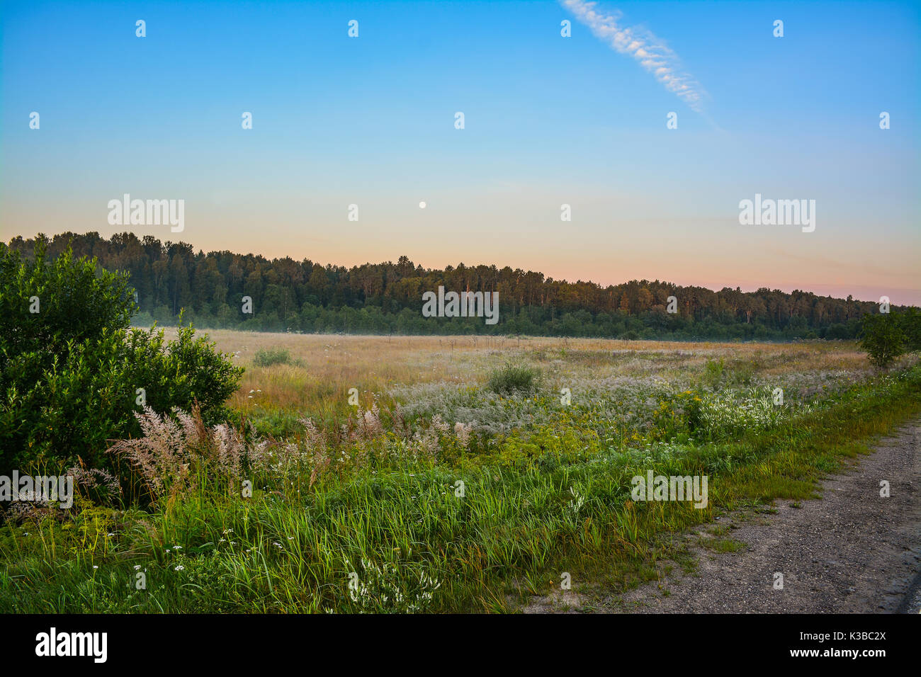 Summer dawn in the countryside Stock Photo - Alamy