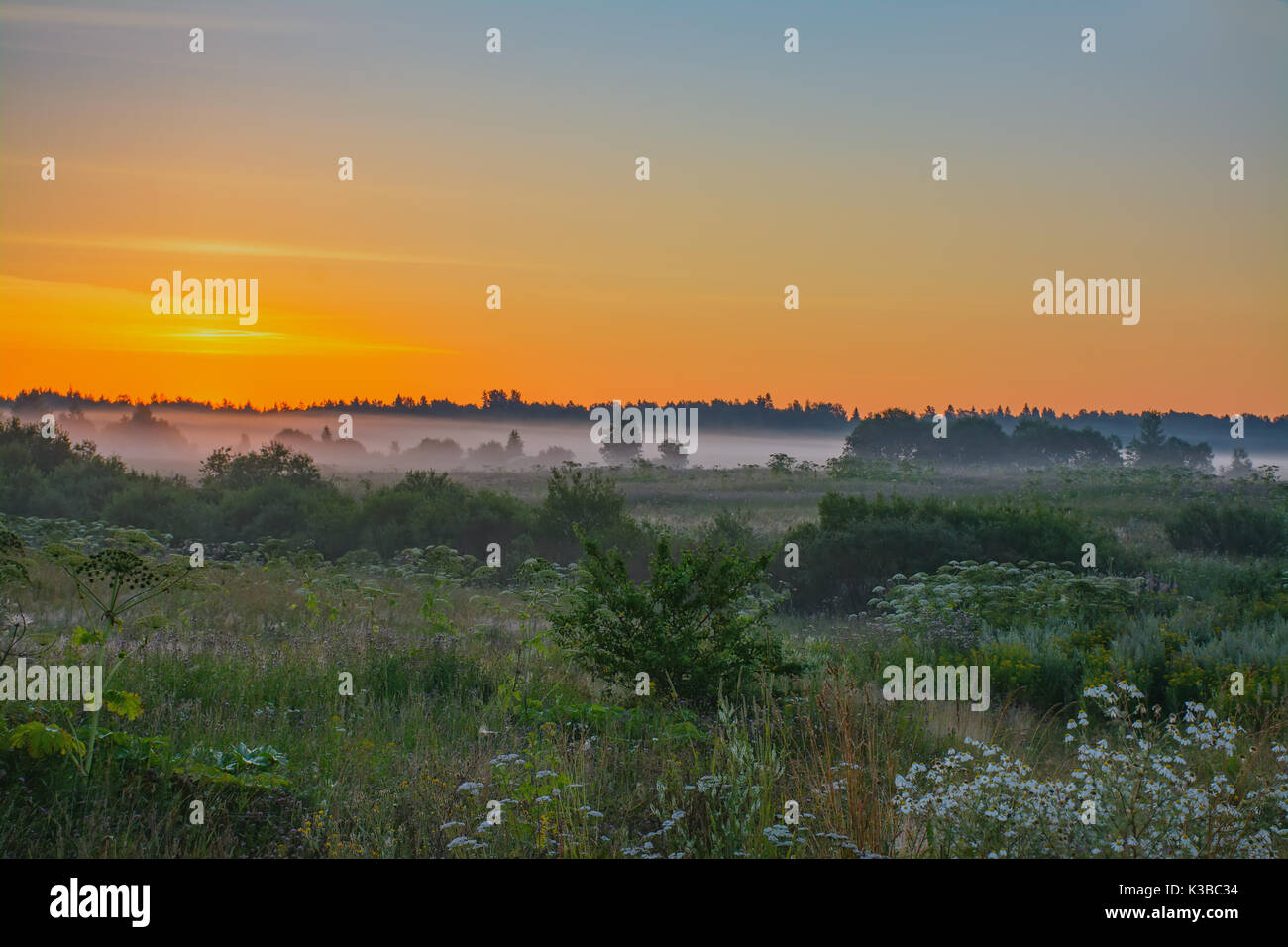 Summer dawn in the countryside Stock Photo - Alamy