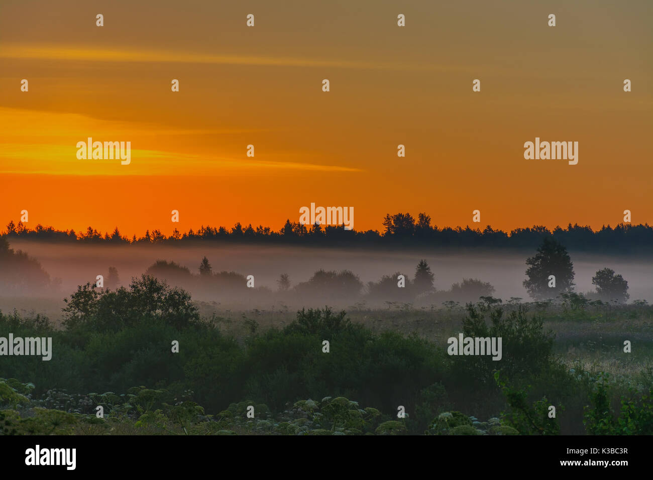 Summer dawn in the countryside Stock Photo - Alamy